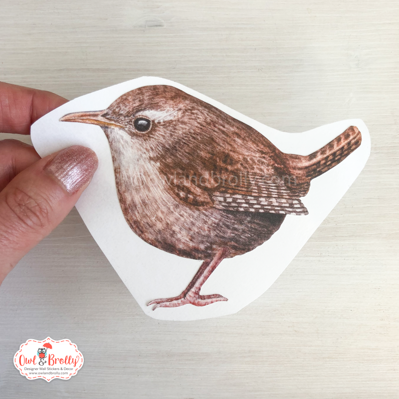 Watercolour Wren Wall Sticker Decal (Smaller Spaces collection) – Owl ...